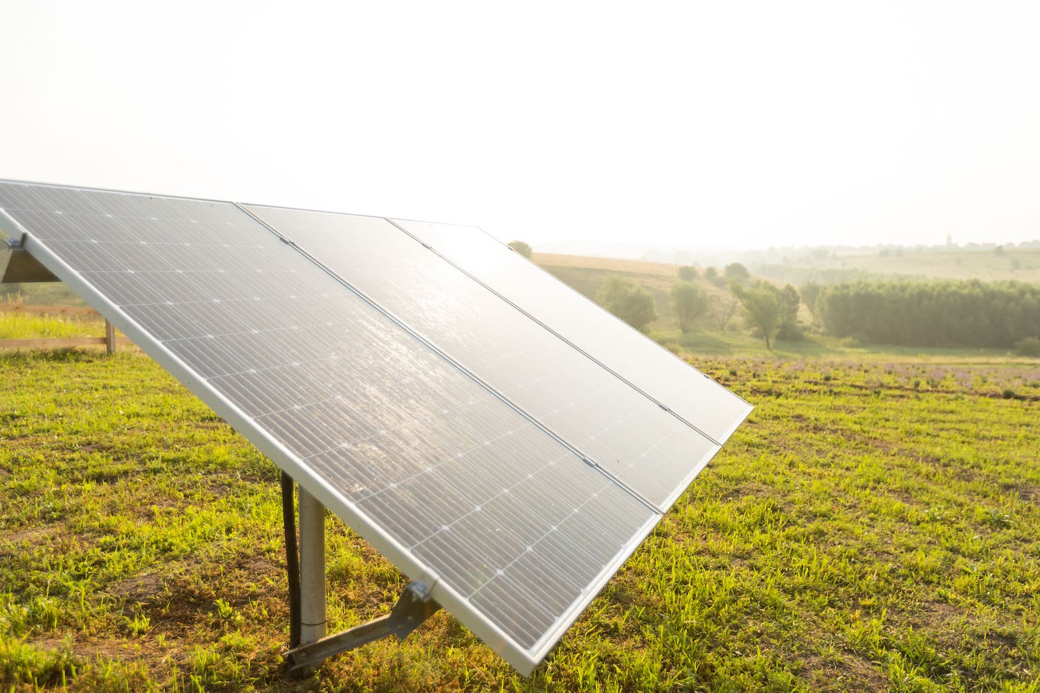 Blockchain and Renewable Energy: Creating Decentralized Grids